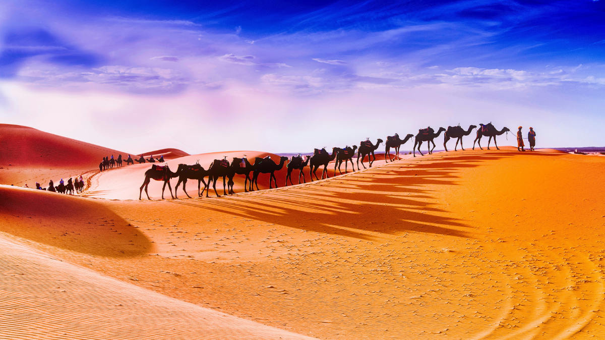 Arabian Peninsula Countries 2026