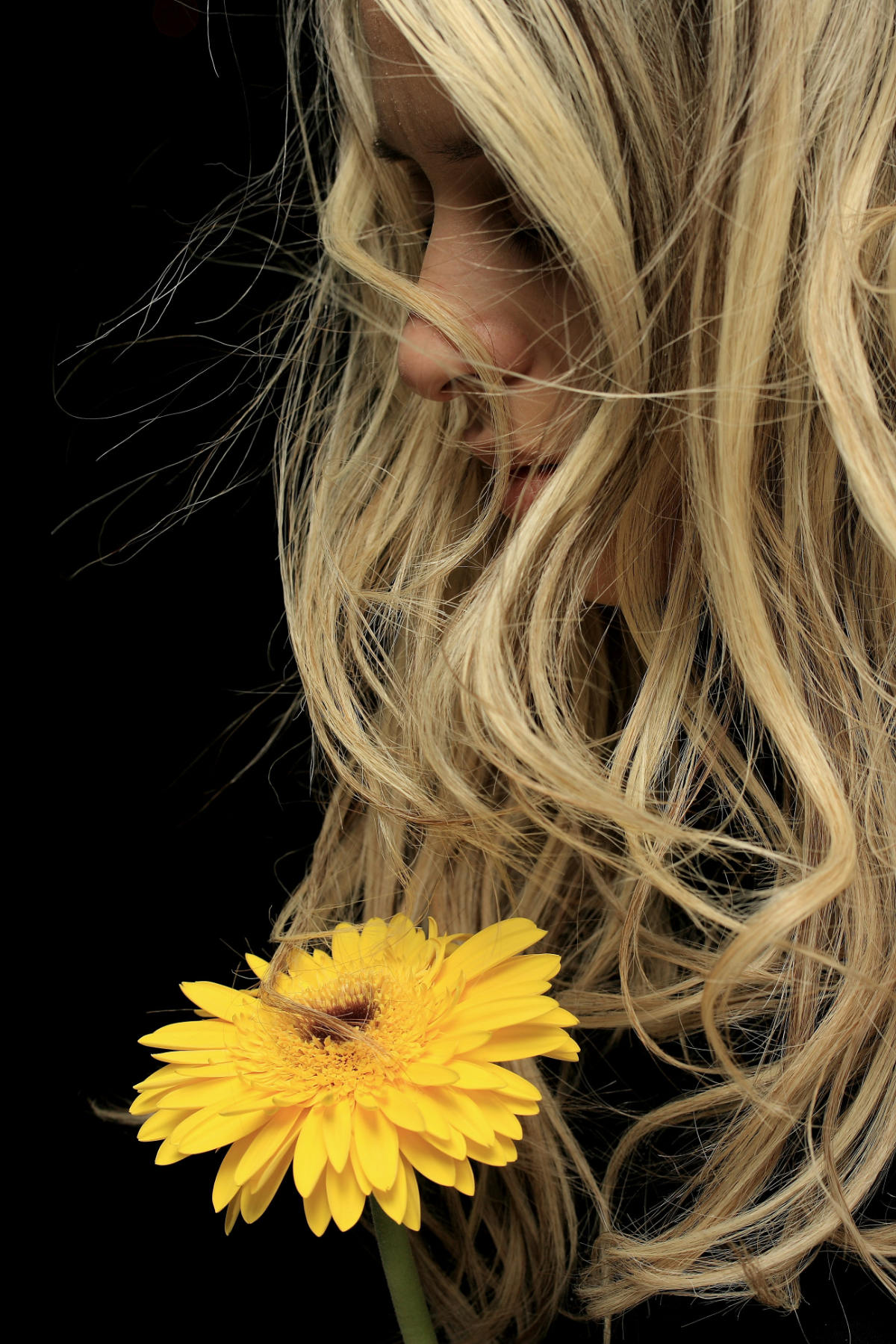 Blonde Hair Percentage by Country 2026