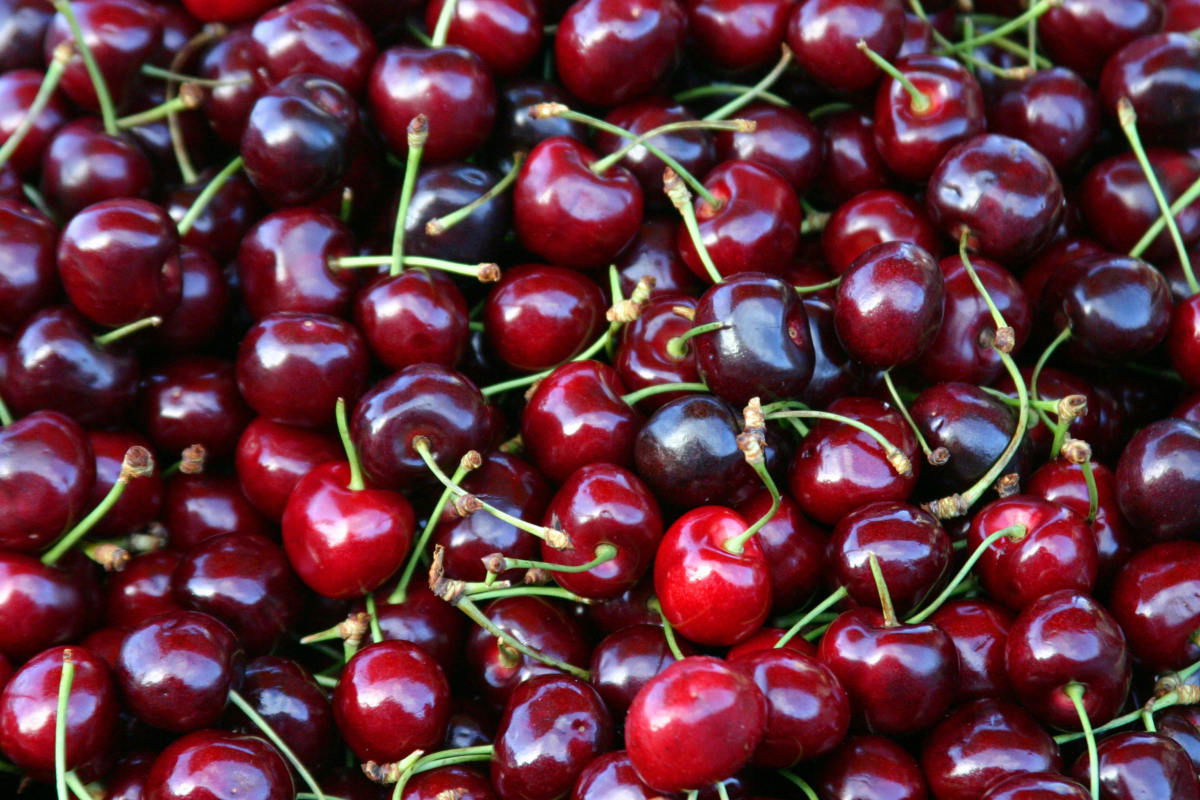 Cherry Production by Country 2025