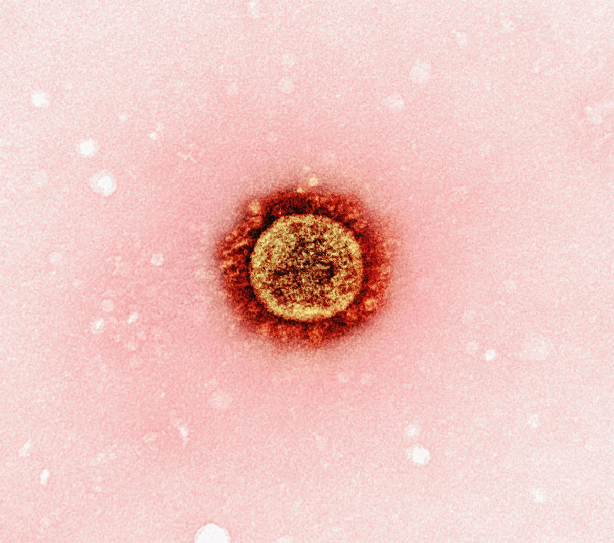 Chlamydia Rates by Country 2026