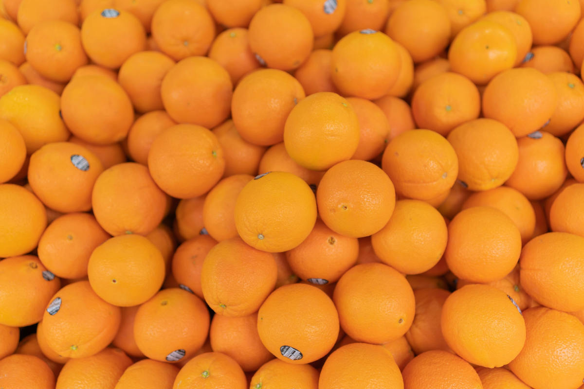 Clementine Production by Country 2026