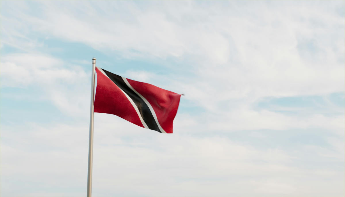 Horizontal Red White Black Flag