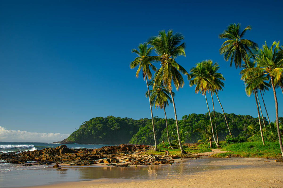 Tropical Countries 2026