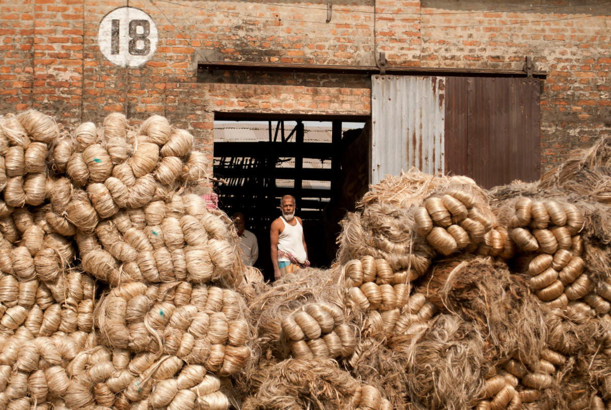 Wool Production by Country 2026