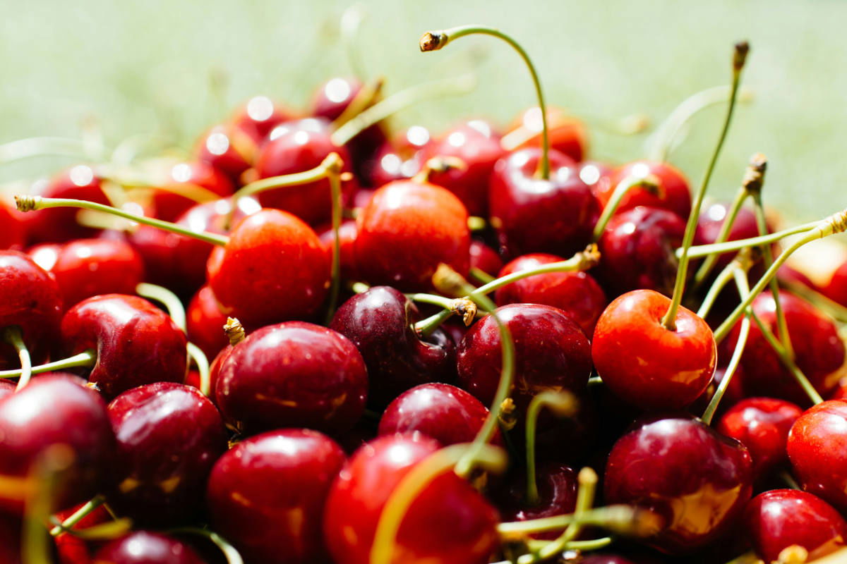 Cherry Production by State 2026