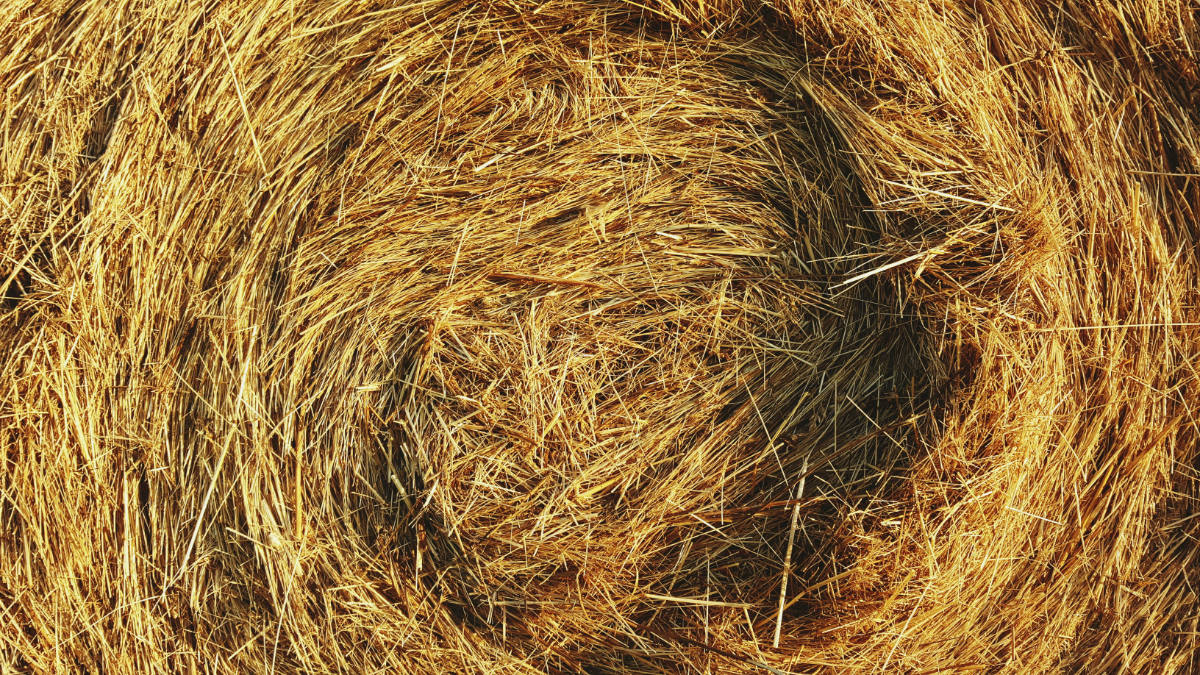 Hay Production by State 2026