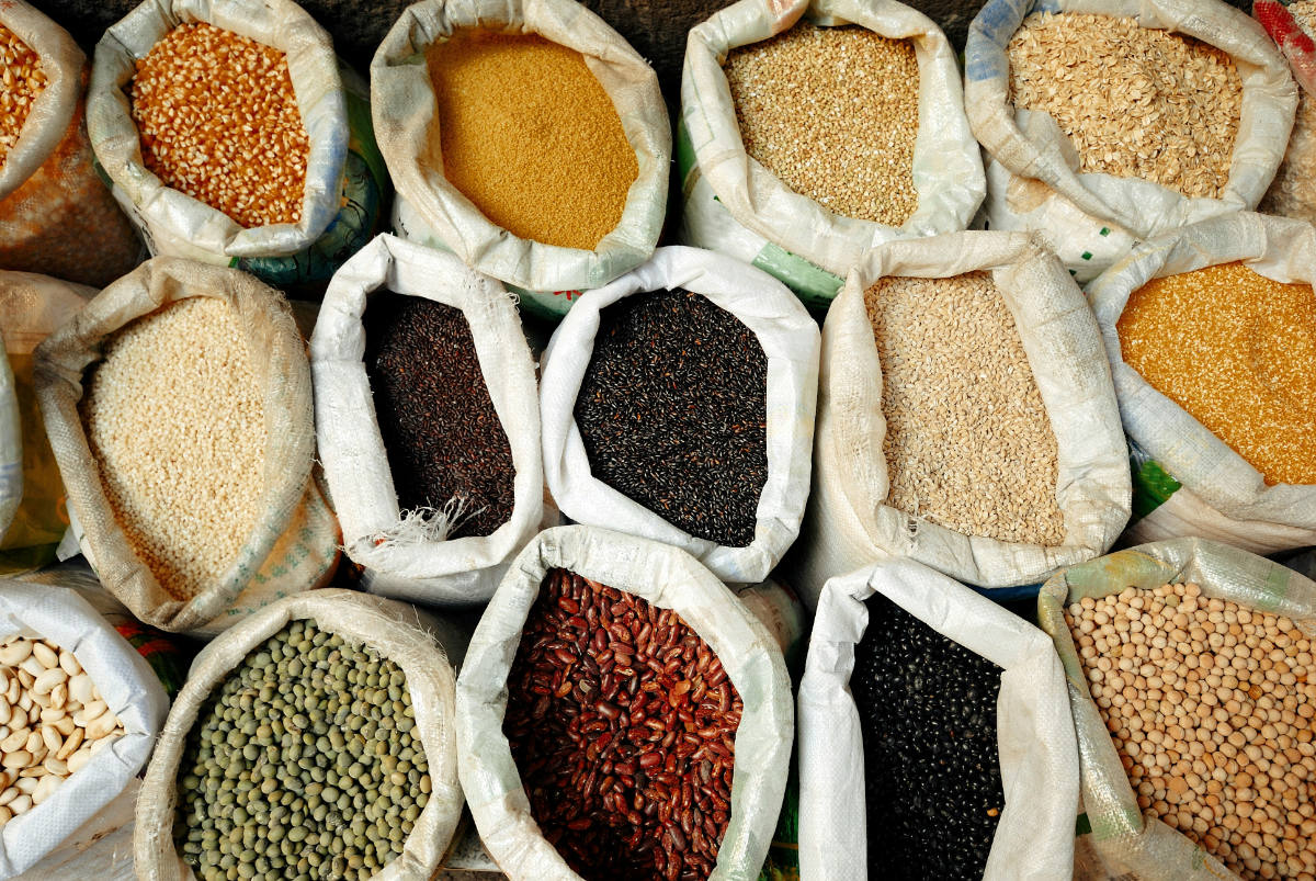 Lentil Production by State 2026