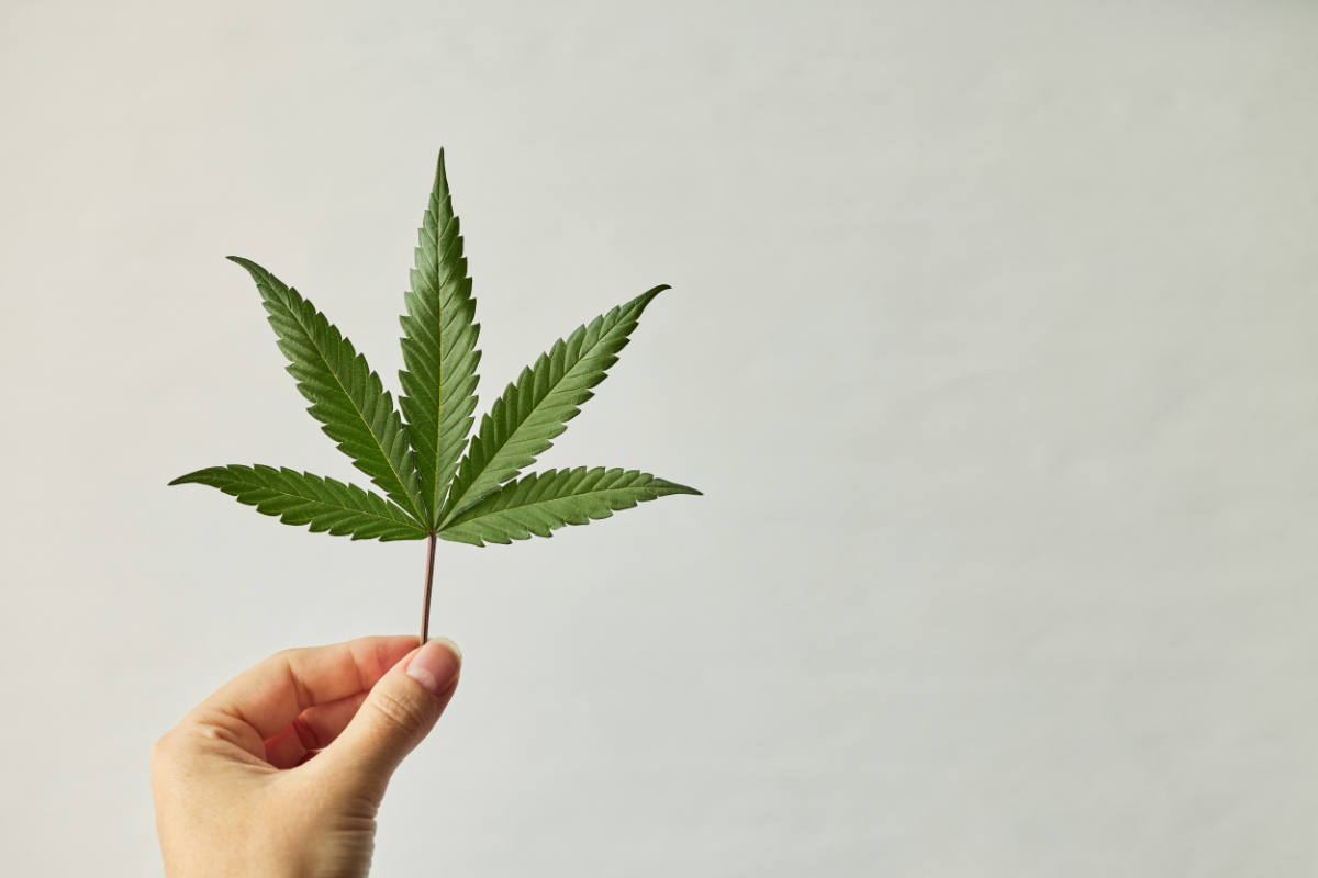 Marijuana Cost by State 2025