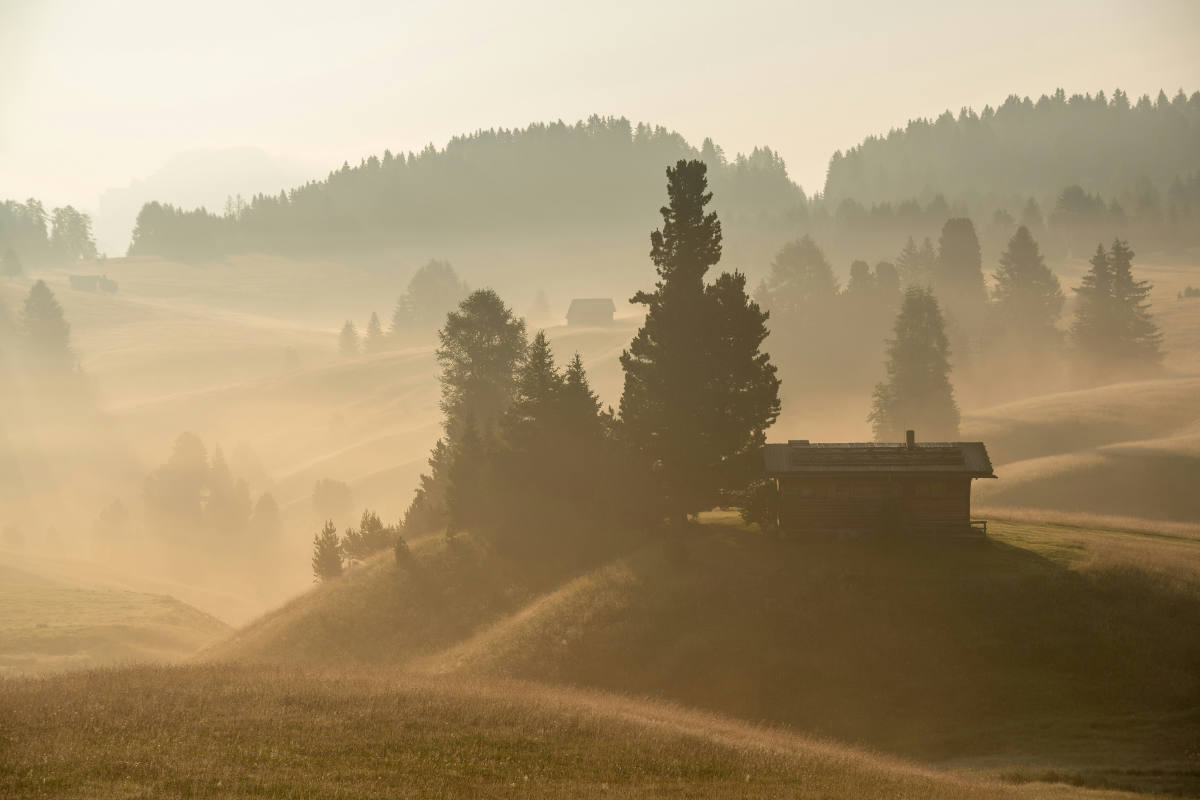 Most Rural States in the U.S. 2025