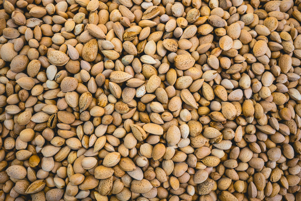 Peanut Production by State 2025