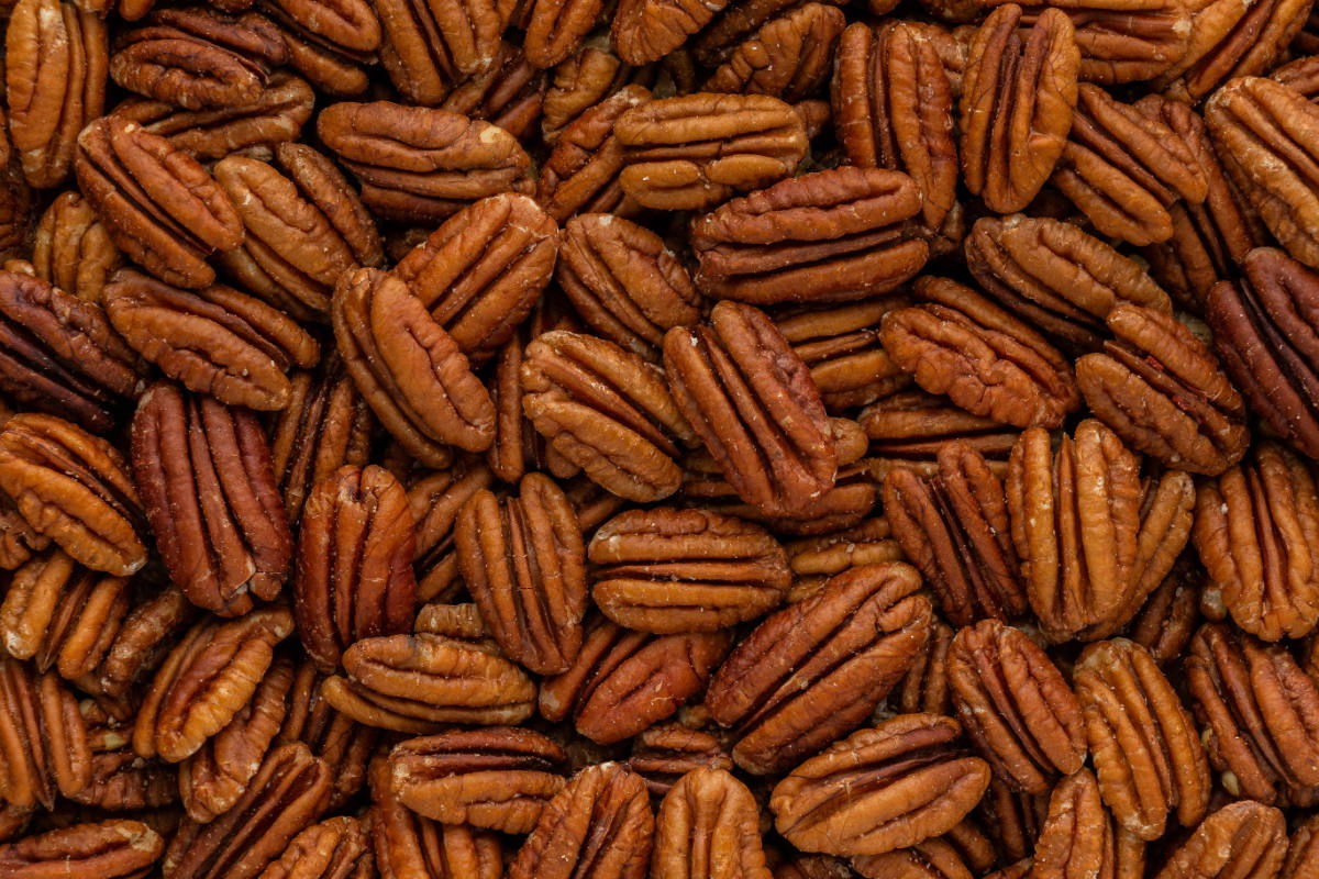 Pecan Production by State 2026