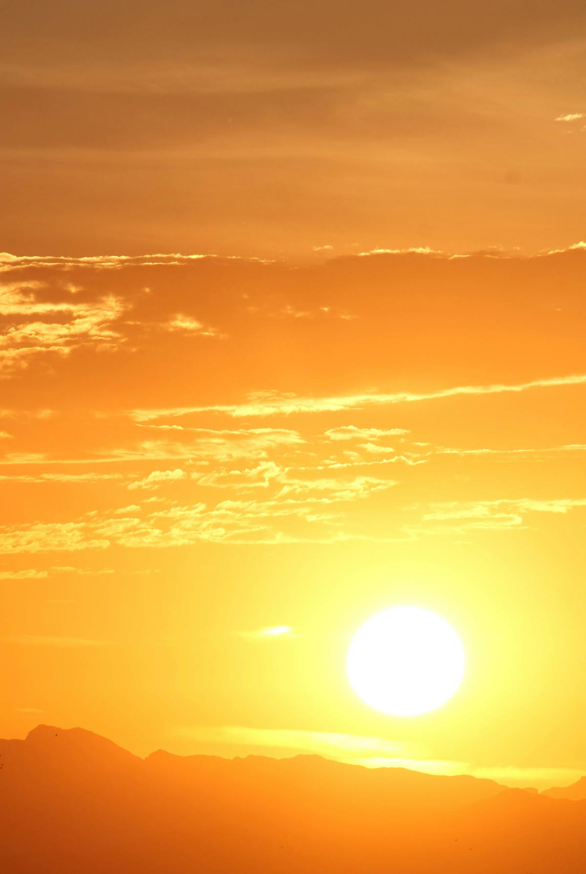 UV Index by State 2026