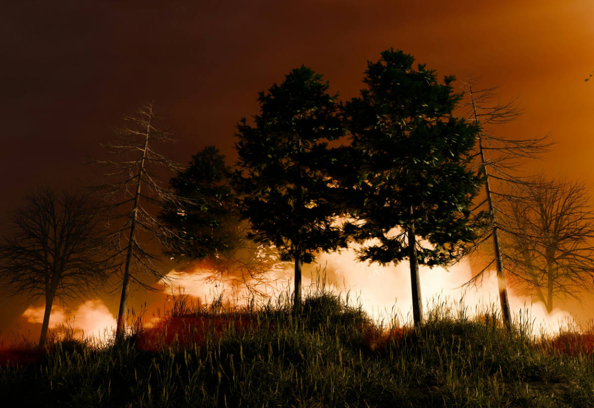 Wildfires by State 2026